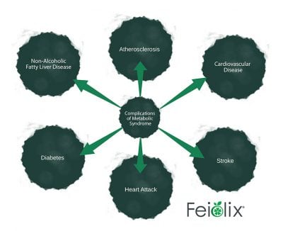 What is metabolic health? - Feiolix®
