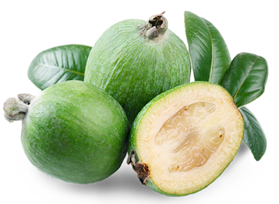 Super Fruit Feijoa - Feiolix®