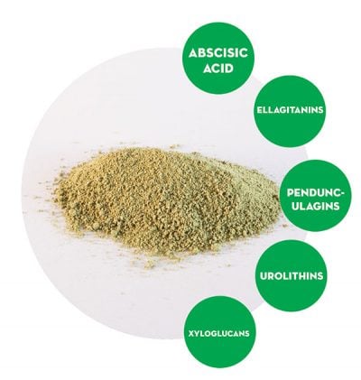 Science Story - Feiolix®