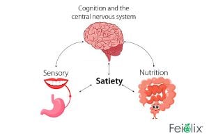 Full up! Simplifying satiety - Feiolix®