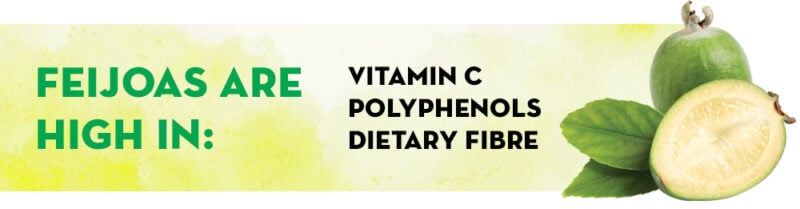 Super Fruit Feijoa - Feiolix®