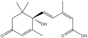 Natural Alternatives to Ozempic: A Comprehensive Guide for Metabolic ...